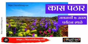 7 Best Places To Visit Near Kas Pathar | कास पठार - Marathi Rang
